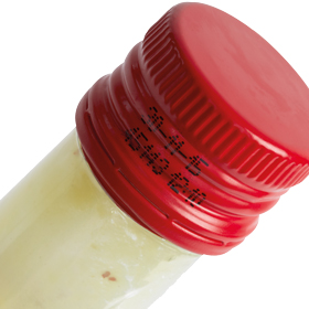 Ti-Series Thermal Inkjet TIJ - Kortho Coding & Marking- International